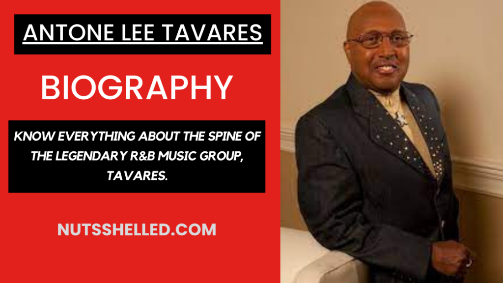 Nuts Shelled | Lifestyle, Business, Entertainment, Biography, Tech, Etc